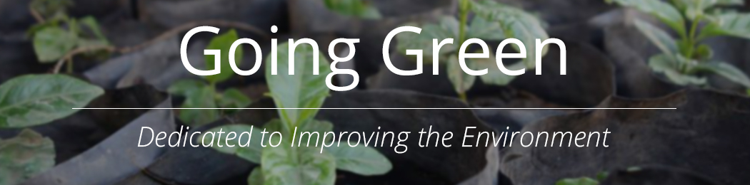 Going Green - About Us - Shoplet.com