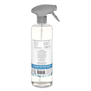 Seventh Generation Natural Glass and Surface Cleaner - SEV44711EA ...