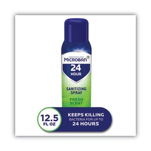 Procter & Gamble Professional 24-Hour Disinfectant Sanitizing Spray ...