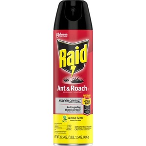 SC Johnson Raid Ant & Roach Killer Spray - SJN333823 - Shoplet.com
