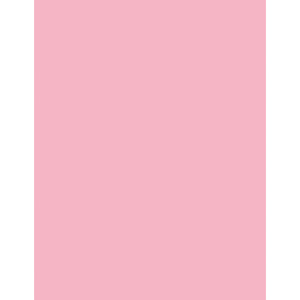 Sparco Premium Copy Paper - Pink - SPR05124 - Shoplet.com