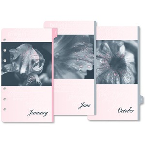 DAYTIMER'S INC. Day-Timer Pink Ribbon 2-page-per-week Planner Refill ...
