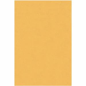 Business Source Heavy-duty Metal Clasp Envelopes - BSN36660 - Shoplet.com