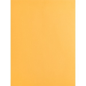Business Source Kraft Gummed Catalog Envelopes - BSN42100 - Shoplet.com