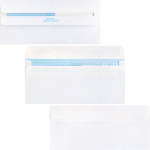 Business Source No. 9 Double Window Invoice Envelopes - BSN36681 ...