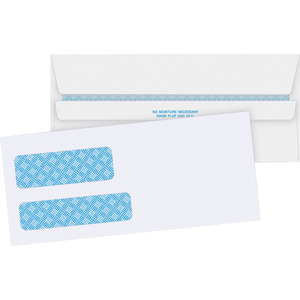 Business Source No. 9 Double Window Invoice Envelopes - BSN36681 ...