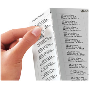 Avery Return Address Labels, 1/2" x 1-3/4" , 800 Clear Labels (15667 ...