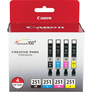 Canon CLI-251 Original Inkjet Ink Cartridge - Value Pack - Black, Cyan ...
