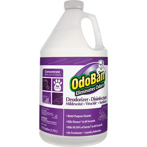 OdoBan Deodorizer Disinfectant Cleaner Concentrate - ODO911162G4 ...