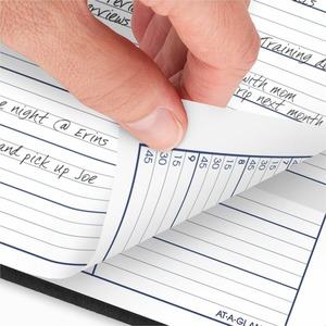 At-A-Glance DayMinder Appointment Book Planner - AAGG52000 - Shoplet.com