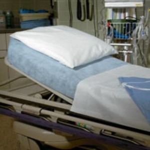 Stretcher Sheet Snug-Fit® Fitted 40 X 89 Inch Blue Nonwoven Fabric ...