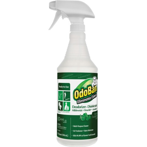 OdoBan Eucalyptus Deodorizer Disinfectant Spray - ODO910062QC12 ...